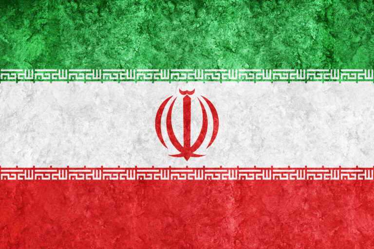 What is the official language of Iran? Dozen Languages 1 Official